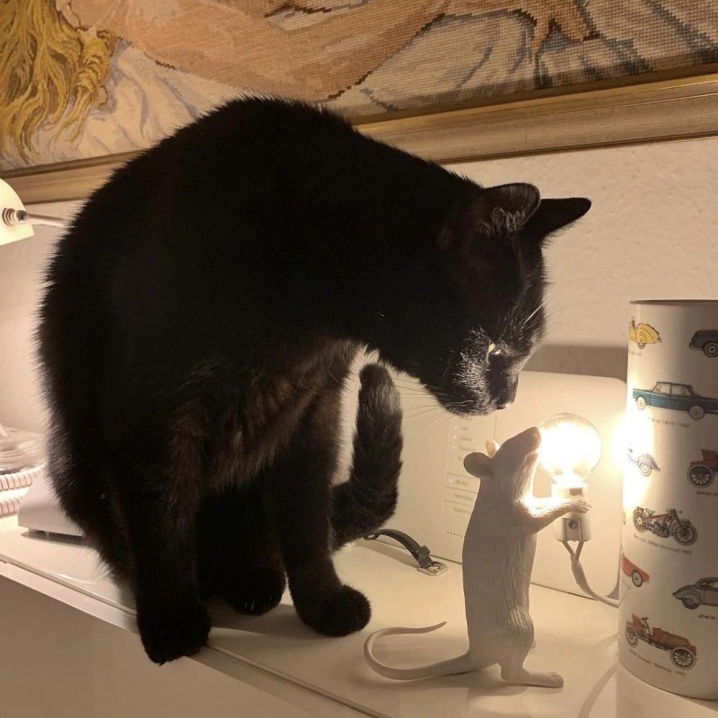 Mouse Lamp | Modern Lamp | KiKi Lighting